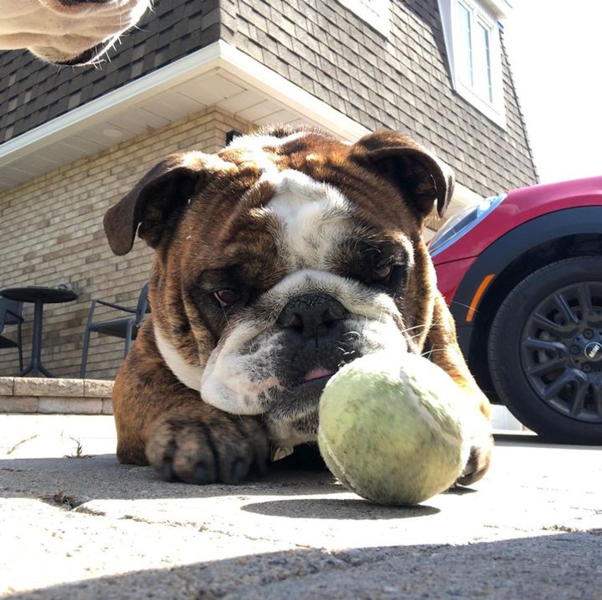 US Open... - BCG Creations | HPG