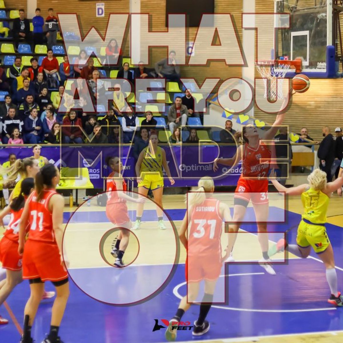 Contact your local Pro Feet dealer to pl... - Pro Feet Inc