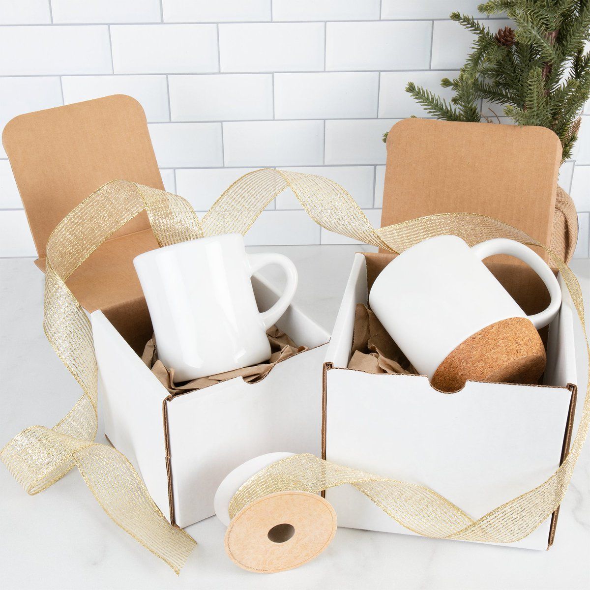 NEW Beyond Boxes come in three sizes! Th... - ETS Express