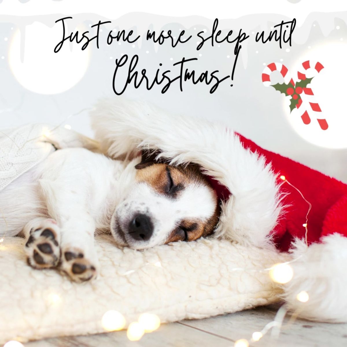 Just One More Sleep Until Christmas Ch Hppa Houston