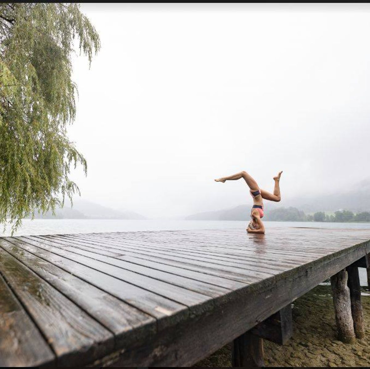 PEI continues our commitment to sustaina... - PEI - Perry Ellis ...