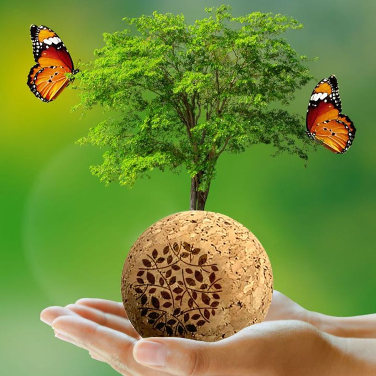 Renew your brand with earth-friendly pro... - BCG Creations | HPG