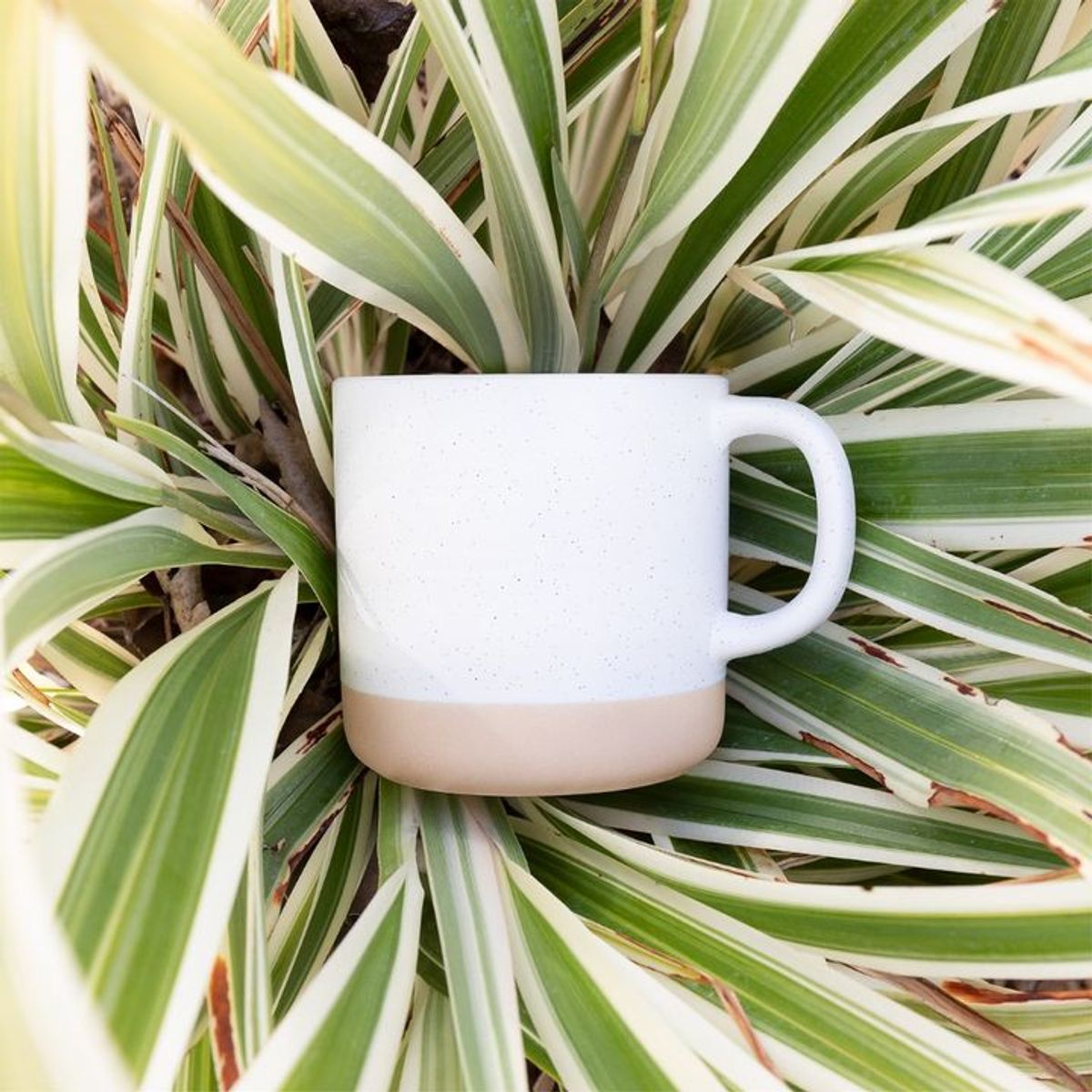 Make a simple cup more natural and speci... - Shumsky