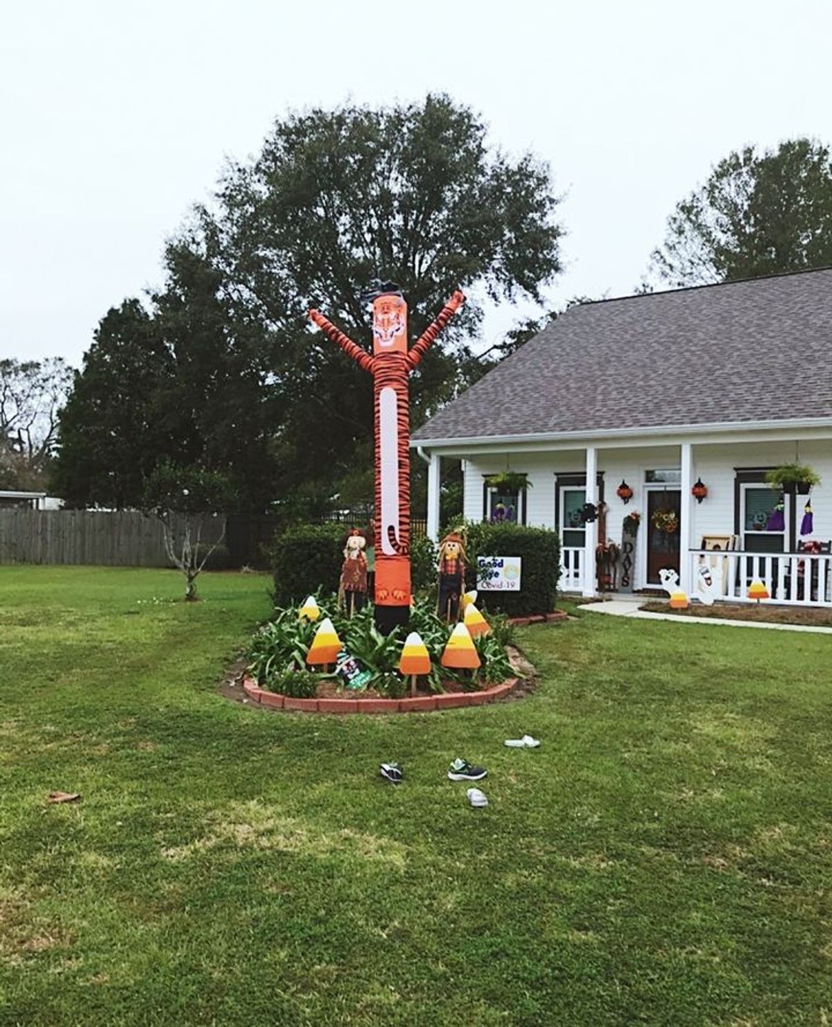 POV: Your neighbor's front yard looks li... - Look Our Way