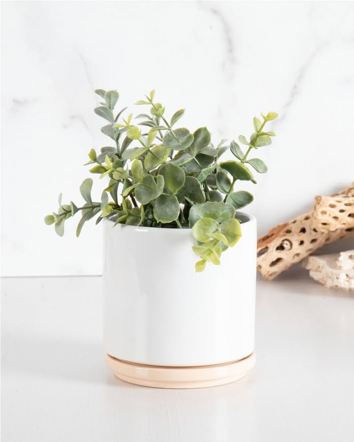 🪴 Style meets nature in the most 𝐛𝐥𝐮... - ETS Express